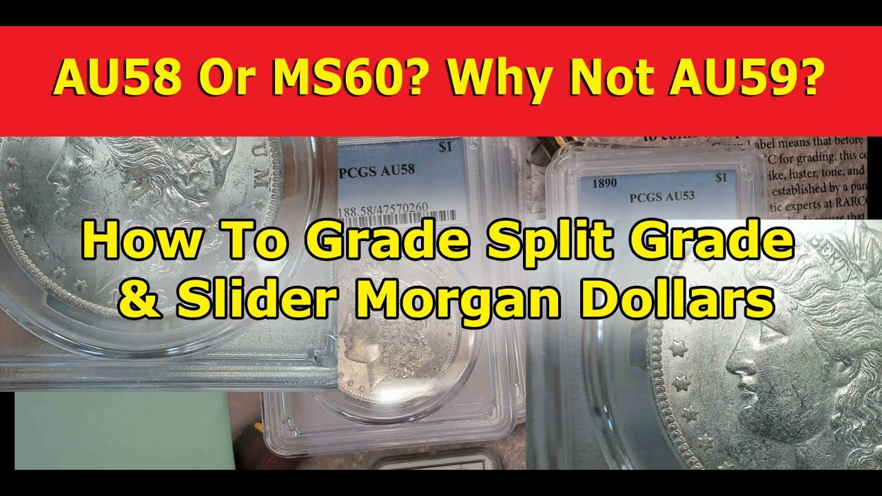 A Lot Of Miss-graded Coins On The Market - AU58 Or MS60 Morgan Dollars ...