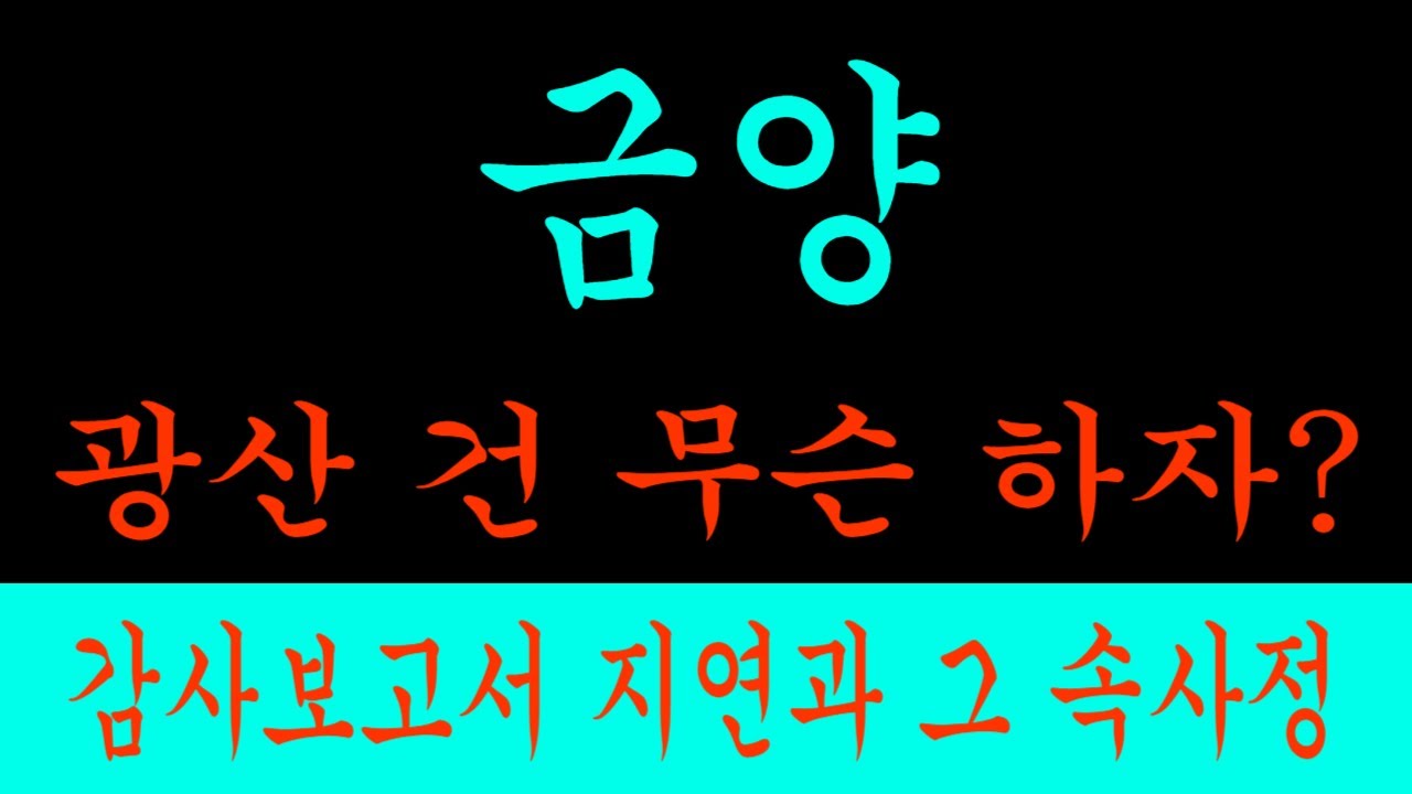 금양 주가광산 건 무슨 하자 감보지연과 그 속사정은 금양 금양 주가 금양 전망 금양 주식 Youtube