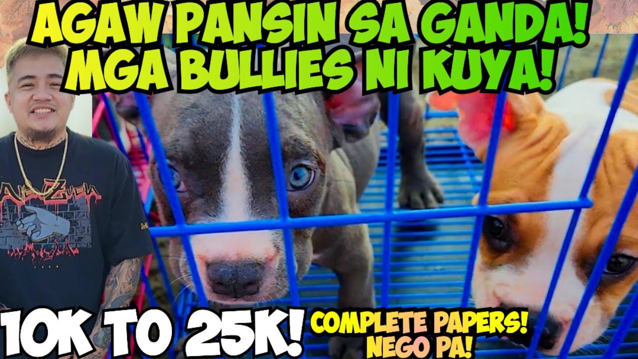 RAB AT EXO BULLY ANG PARENTS! DAMING MURA AT ASTIG NA PETS SA BOCAUE ...