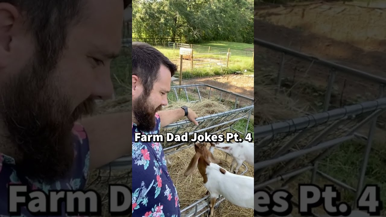 Farm Dad Jokes Part 4 - YouTube