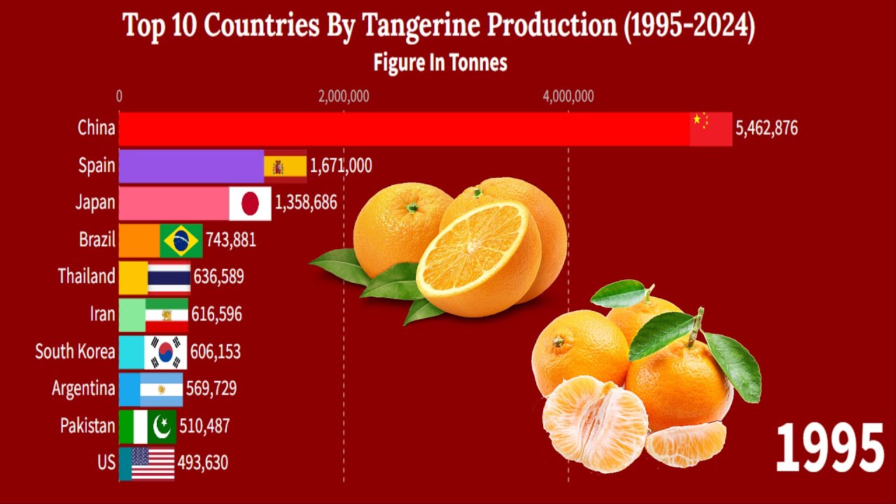 Top 10 Countries By Tangerine Production (1995-2024) - YouTube