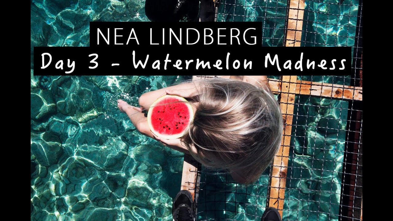 Day 3 - Watermelon Madness - YouTube