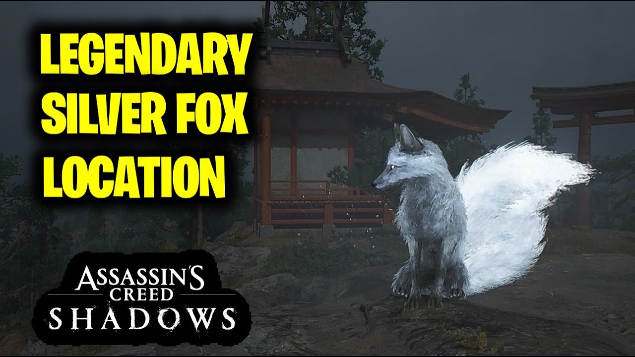 Legendary Silver Fox Location | Assassin's Creed Shadows - YouTube