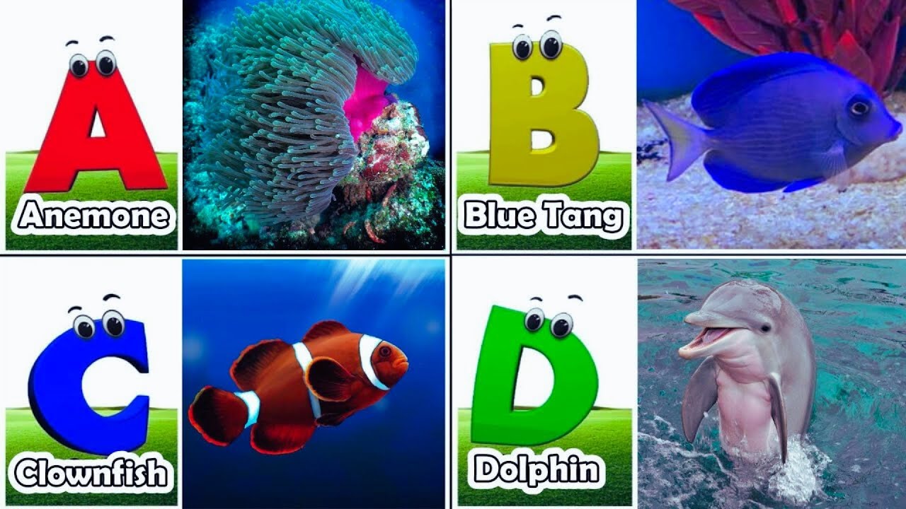 ABC Song | Sea 🐟 Animals ABC Song | Phonics for Kids | Learn ABC | Baby ...