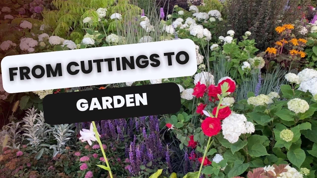 🌱My Trip to Bailey Nursery - How Plants are Produced Commercially 🌱 ...