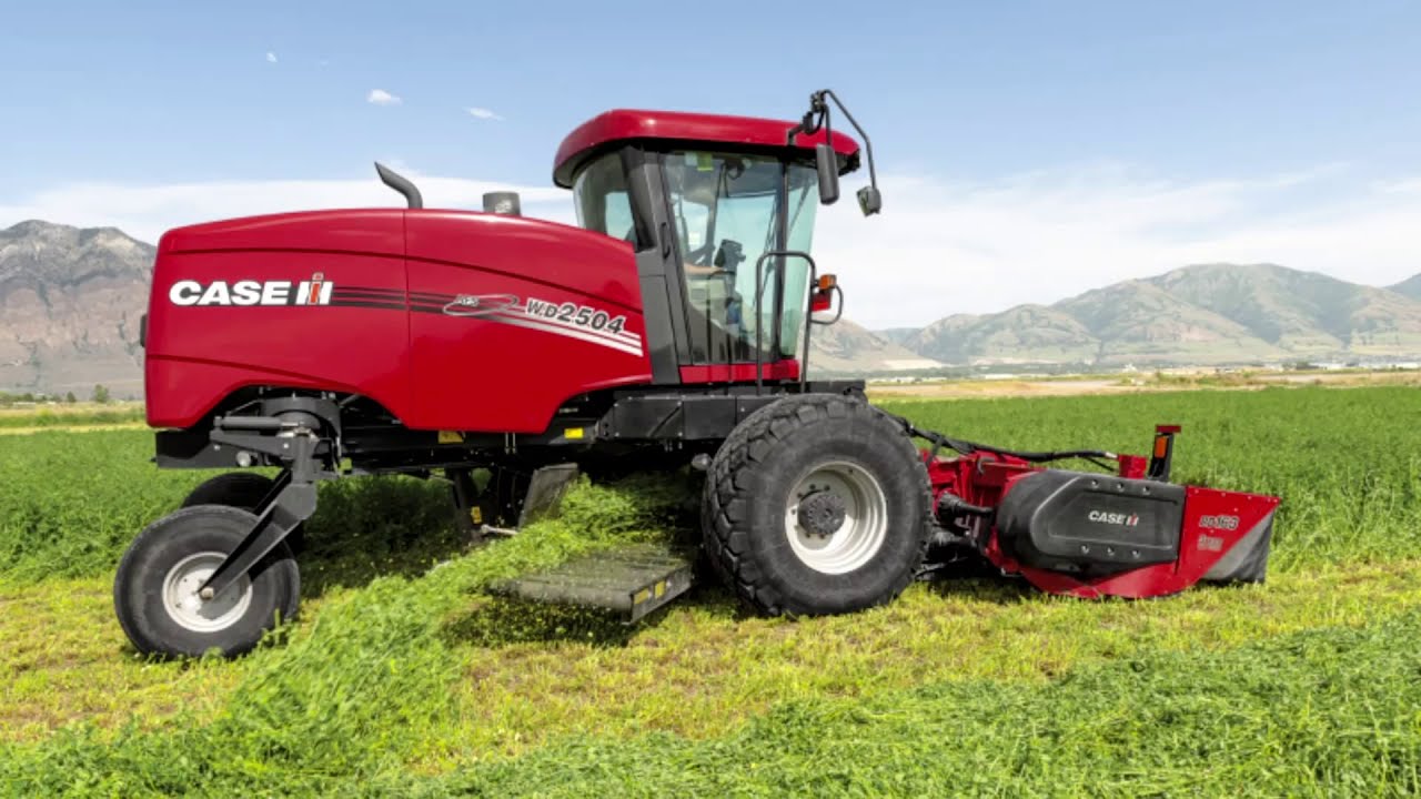 Case IH Windrowers in Action - YouTube