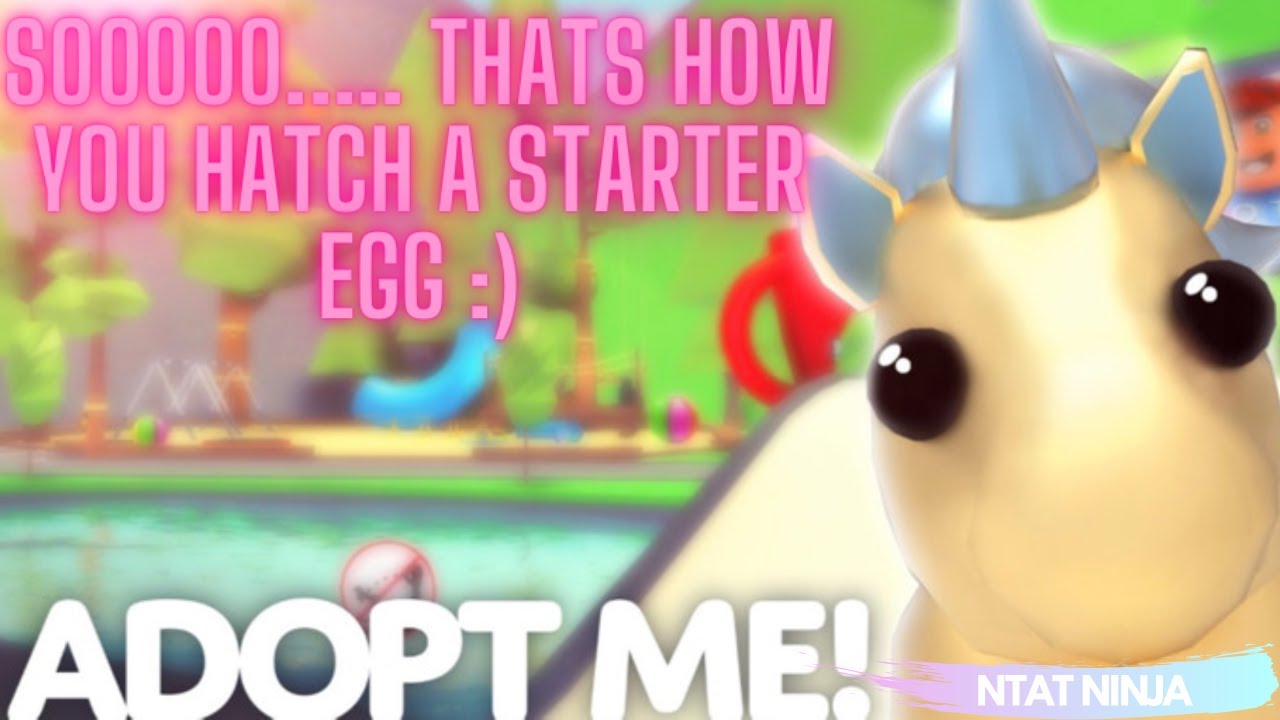 Roblox Adopt me beginner How to hatch a starter Egg tutorial/guide/play ...