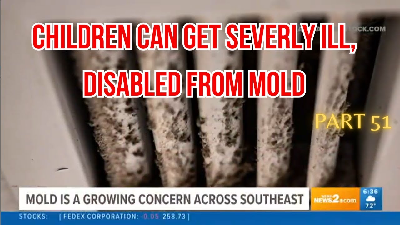 Toxic Mold: In The Media 'MOLD IN SCHOOLS 6' PART 51 - YouTube