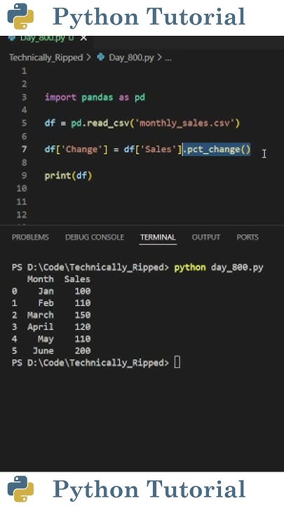 How to Calculate Percent Change in Pandas | Python Tutorial - YouTube