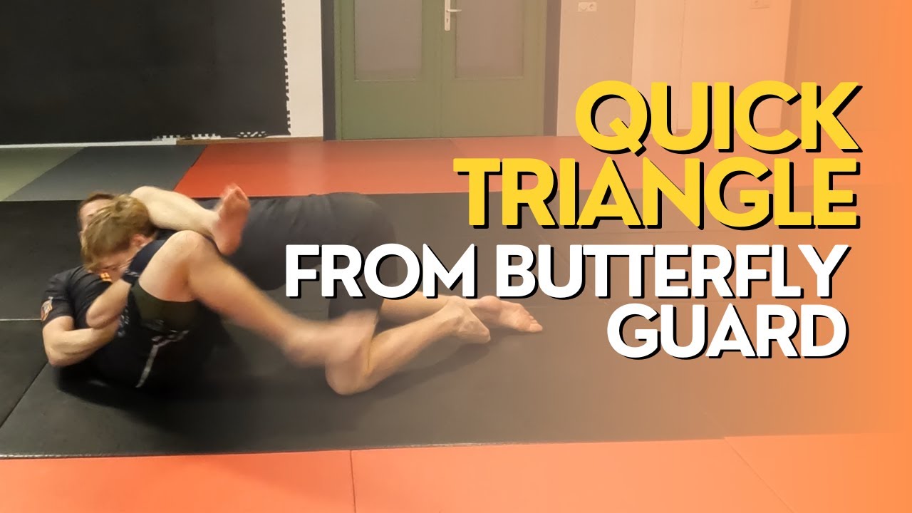 QUICK TRIANGLE From Butterfly Guard - YouTube