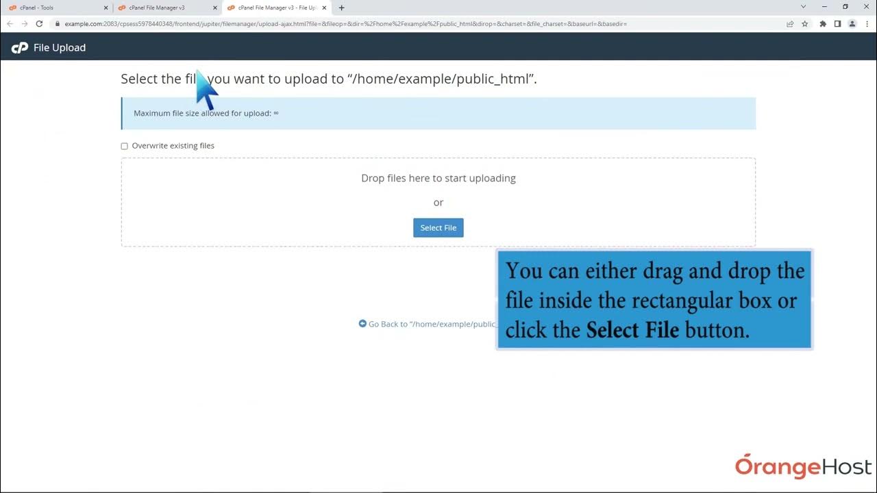 How to upload files via the cPanel File Manager with OrangeHost - YouTube