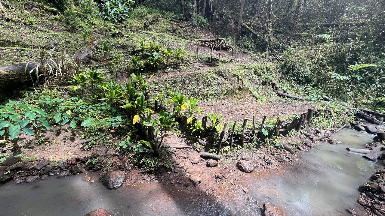 Lost and Afraid in Hawaii Rainforest (Hike w/ Me, Ep.1) - YouTube