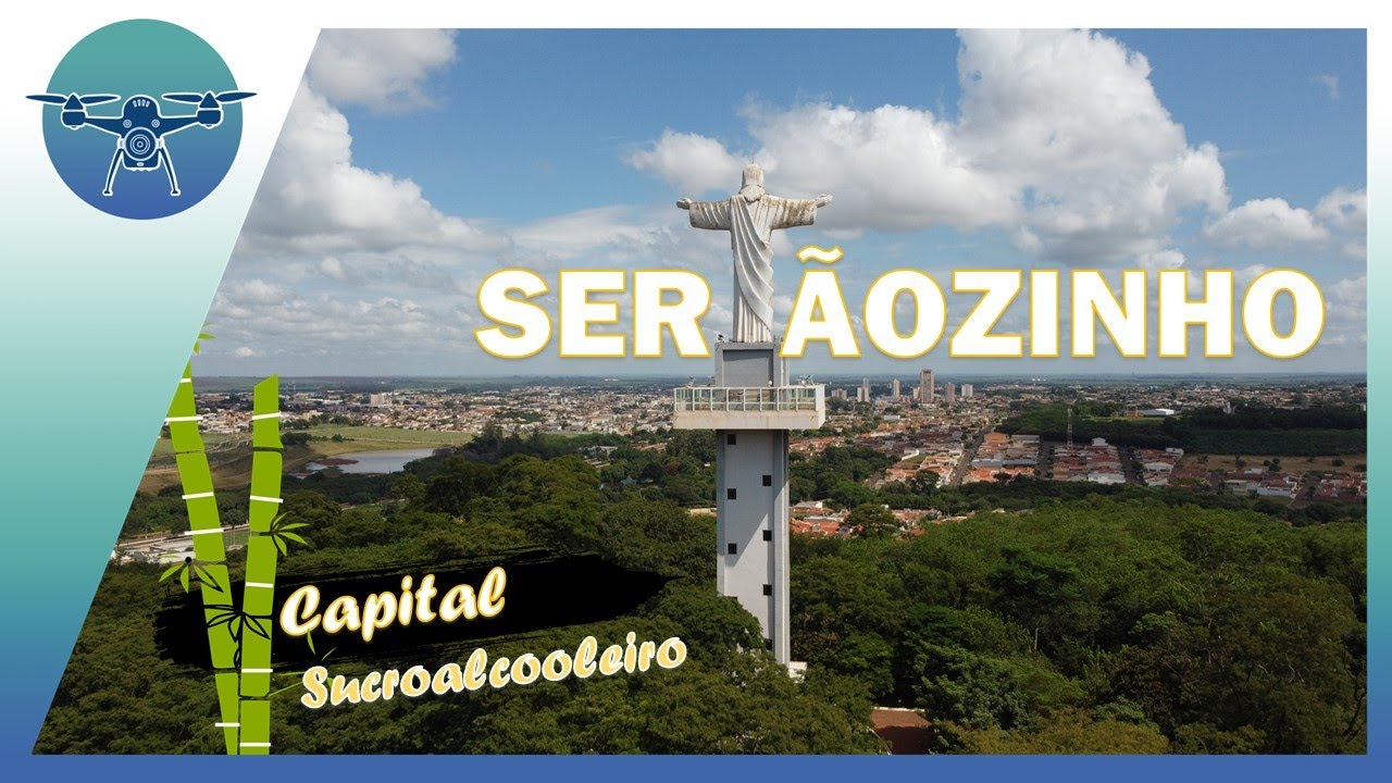 Você sabia que a cidade de Sertãozinho é considerada a capital mundial ...