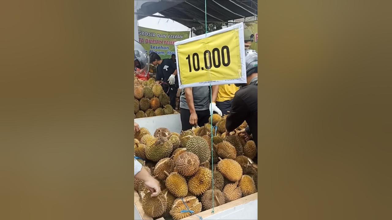 Pesta Durian Palembang. Durian lokal asli dari palembang. Harga mulai dari Rp 10.000 #streetfood ...