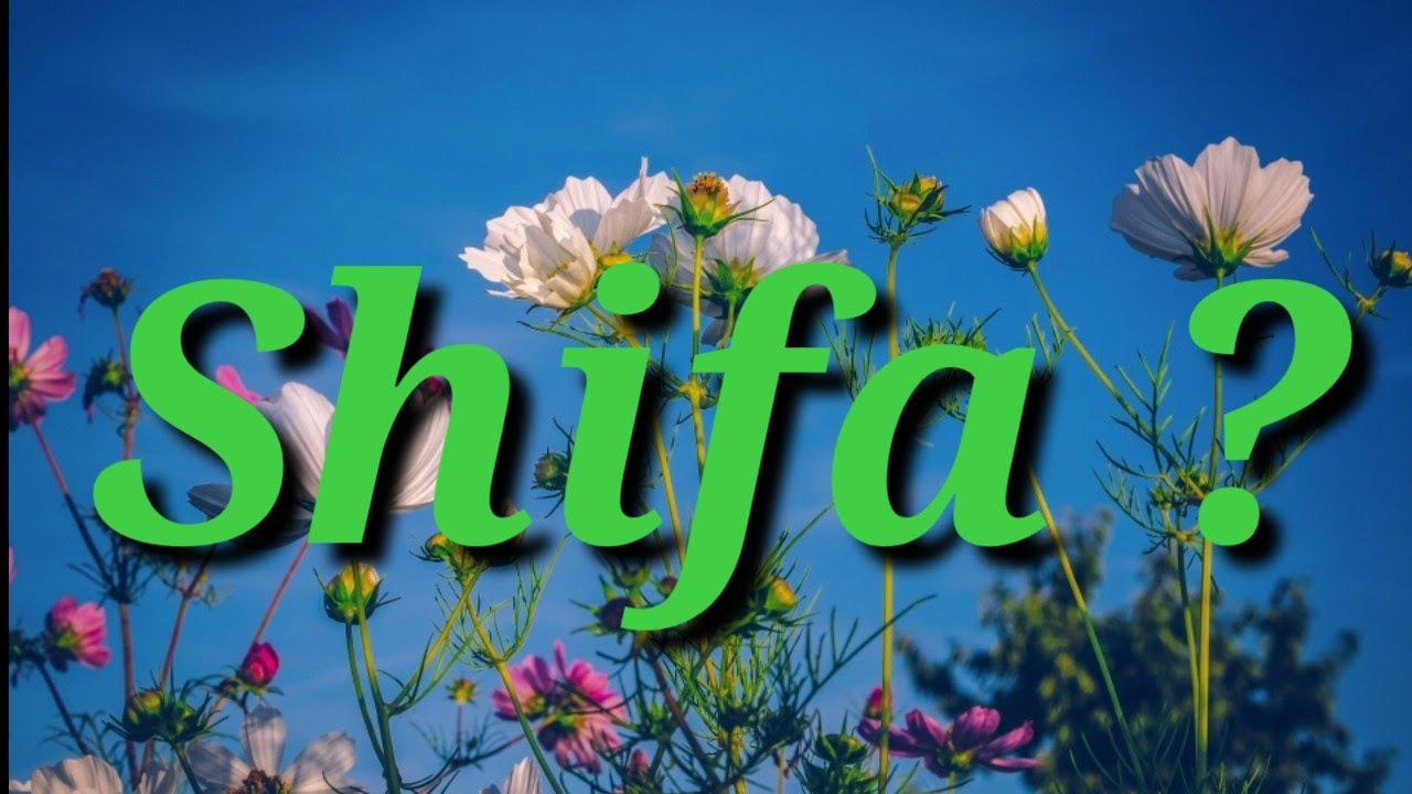 Shifa Name Status | Shifa Name Meaning | Shifa Name WhatsApp Status ...