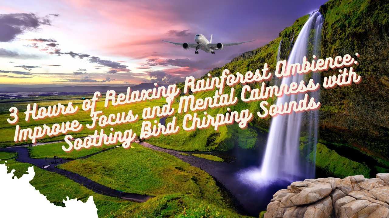 Relaxing Rainforest Ambience for Focus: 3 Hour of Soothing Bird ...