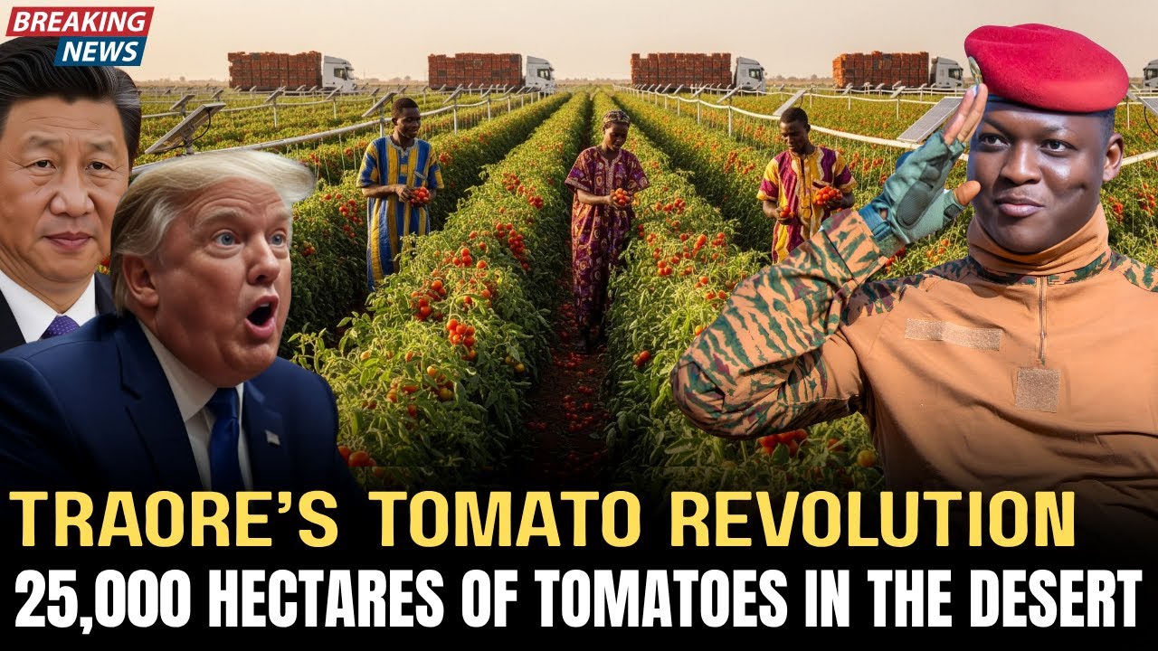 SHOCKING: Why Burkina Faso Is Growing Millions Tomatoes in the Desert ...