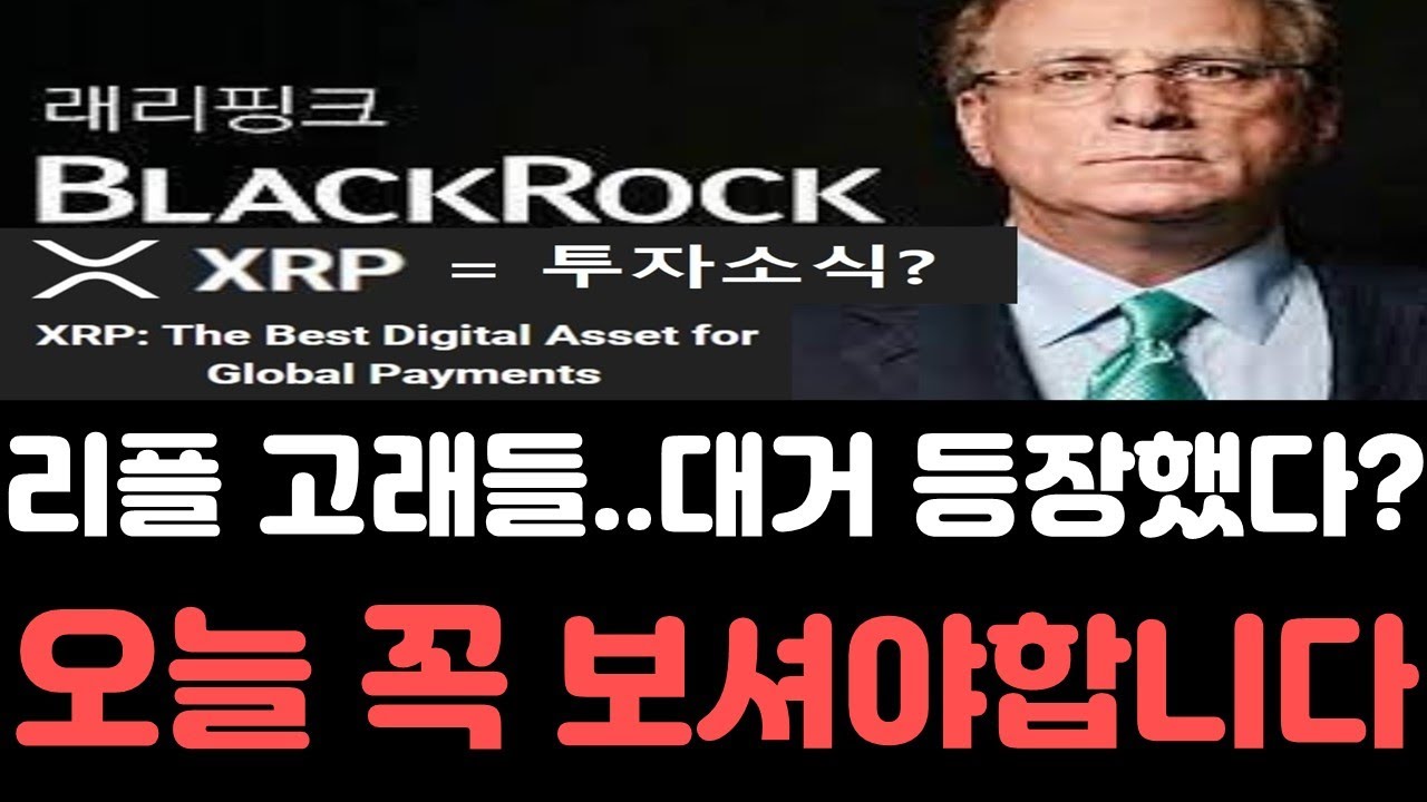 리플전망 리플 대거 고래들이 등장했다 Sec와의 재판 소송결과 앞두고 이런일이 오늘 영상은 꼭 보셔야합니다 리플전망 리플호재 리플급등 리플코인 리플소송
