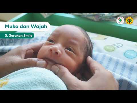 CARA DAN MANFAAT PIJAT BAYI BARU LAHIR