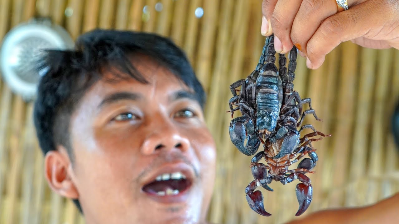 OMGod! Catch Scorpion to Cook & Eat So Delicious - YouTube
