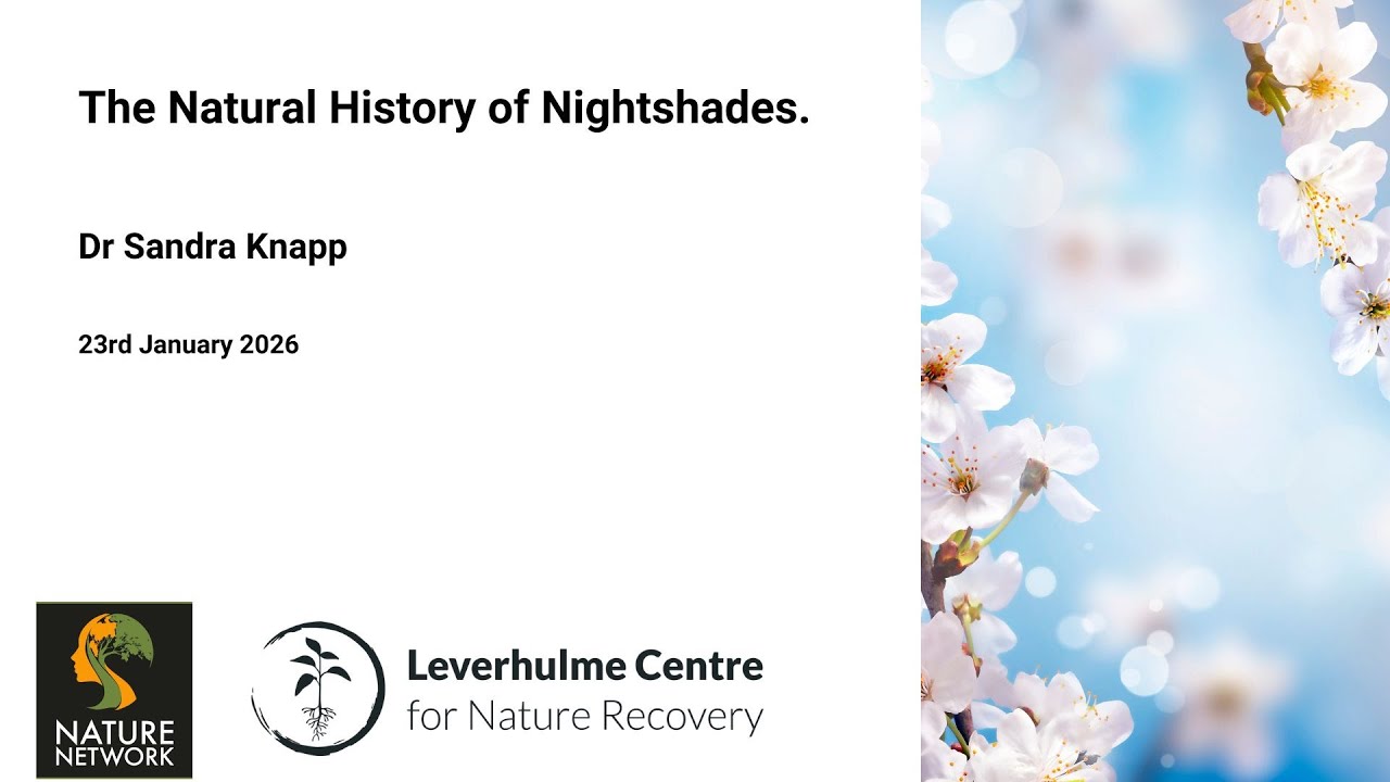 The natural history of nightshades- Dr Sandra Knapp - YouTube