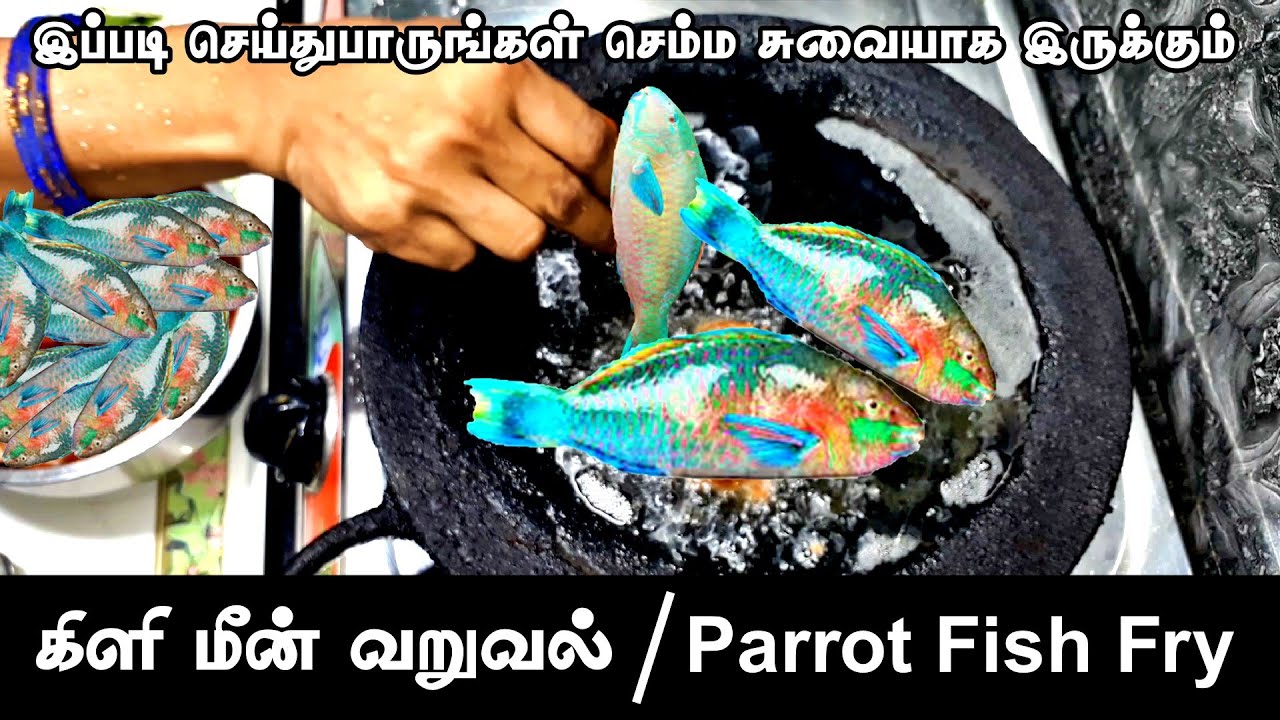 கிளி மீன் வறுவல் | fish recipe in tamil | meen fry | meen fry in tamil ...