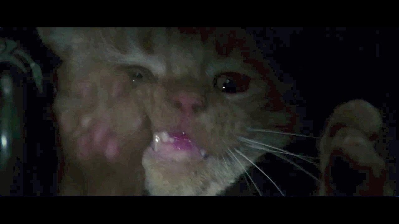 Alien 1979 - Altered Brett & Jonesy Scene (Version 1) - YouTube