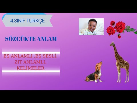 4.SINIF TÜRKÇE  EŞ ANLAMLI,ZIT ANLAMLI,EŞ SESLİ KELİMELER