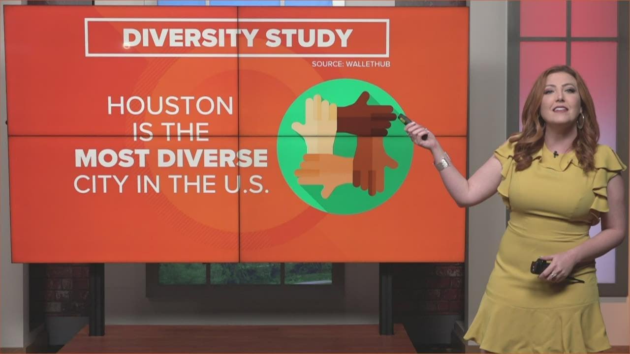 Houston named most diverse city in US, study finds - YouTube