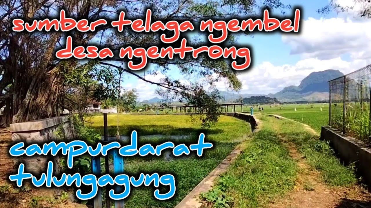 SUMBER TELAGA NGEMBEL, DESA NGENTRONG CAMPURDARAT TULUNGAGUNG JATIM ...
