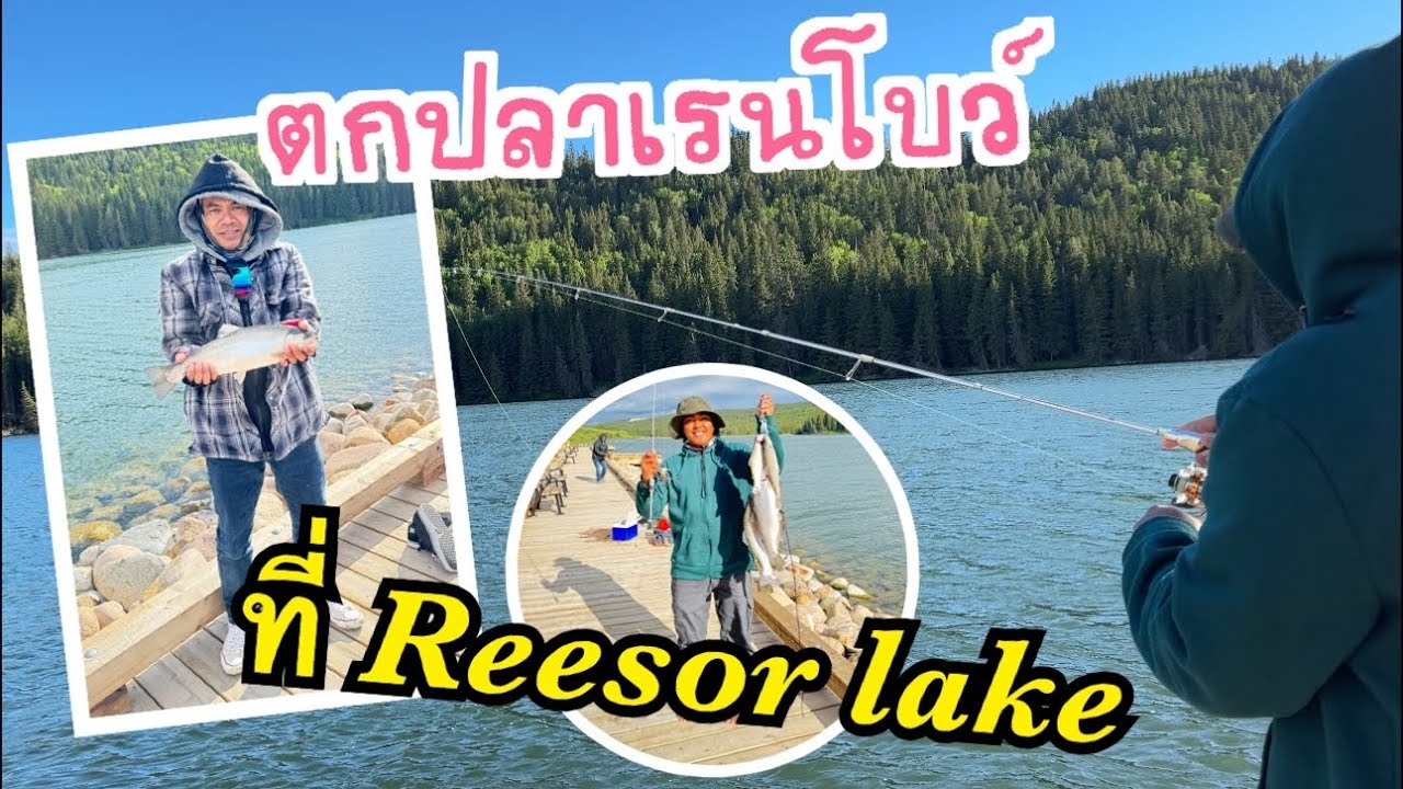 ตกปลาเรนโบว์ในแม่น้ำที่ Reesor lake - YouTube