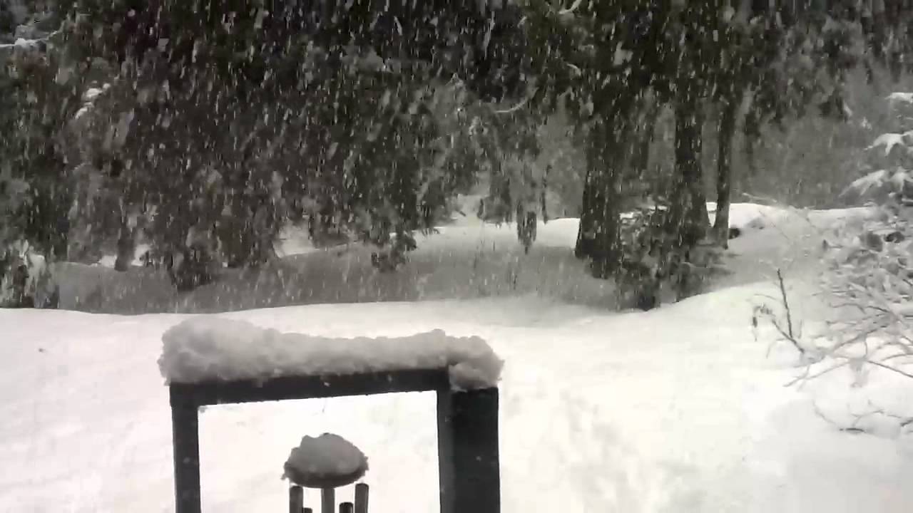 Big flakes call out the youth - YouTube