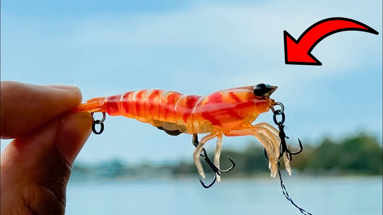 Is this new fishing lure the BEST Prawn imitation? - YouTube