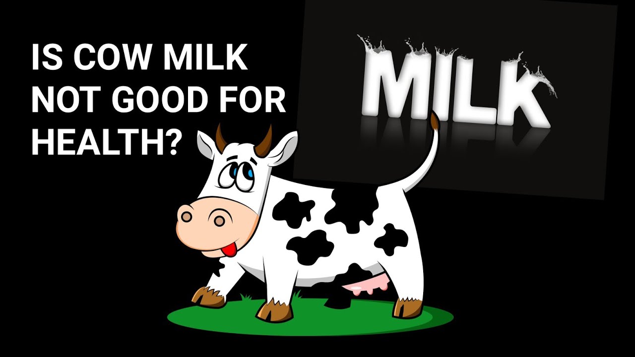 Is Cow Milk Bad For Humans | Milk Benefits For Men And Women | Milk ...