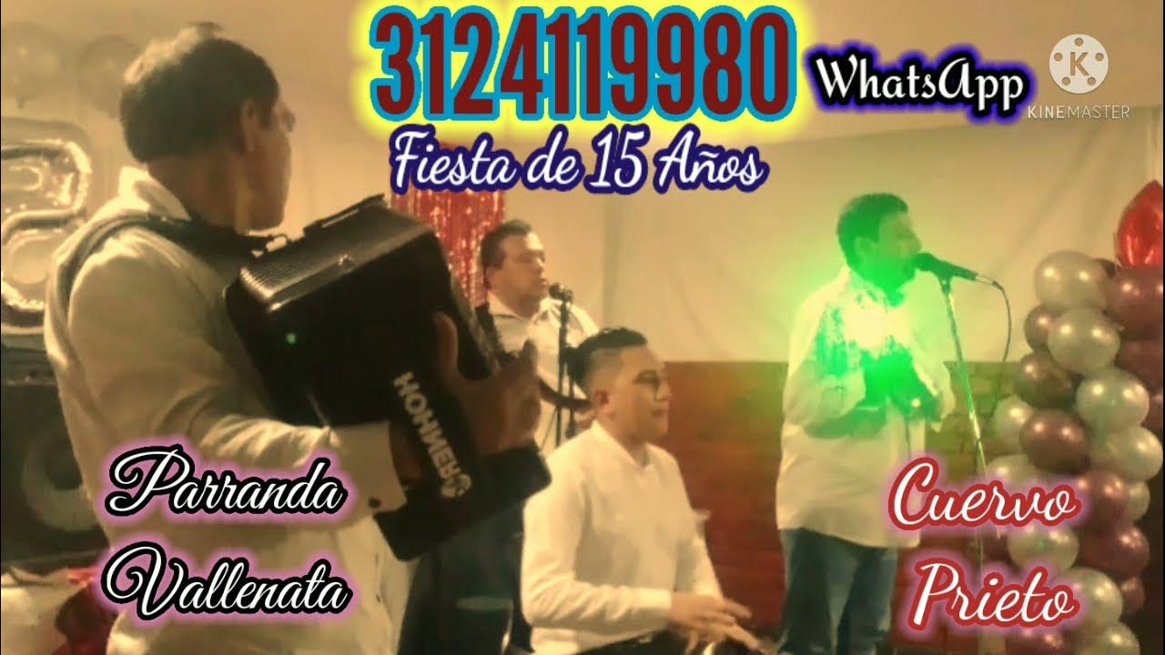 PRECIO PARRANDA VALLENATA PARA 15 AÑOS 3124119980. SERENATA VALLENATA FIESTA de 15 AÑOS. - YouTube