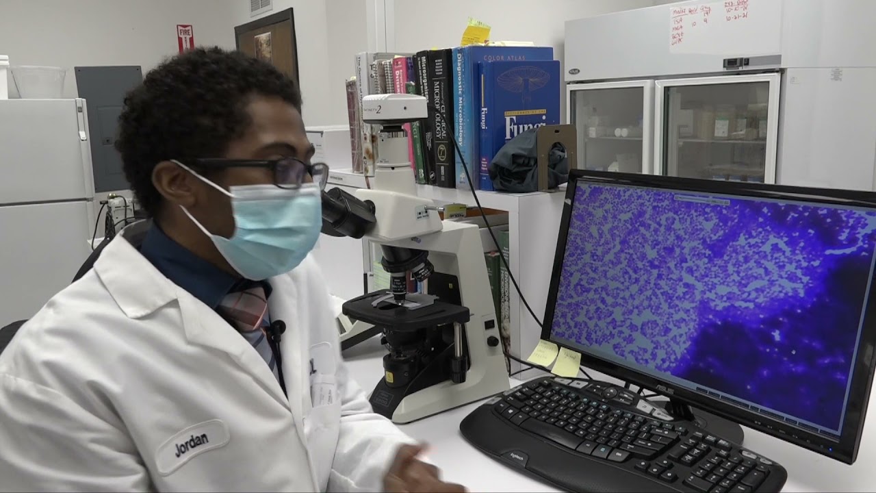 EDLab Video Tour 2021 - YouTube