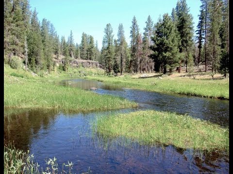 SOLD! 10 Acres FOR SALE Central Oregon. Walk to Sycan River and The OC ...