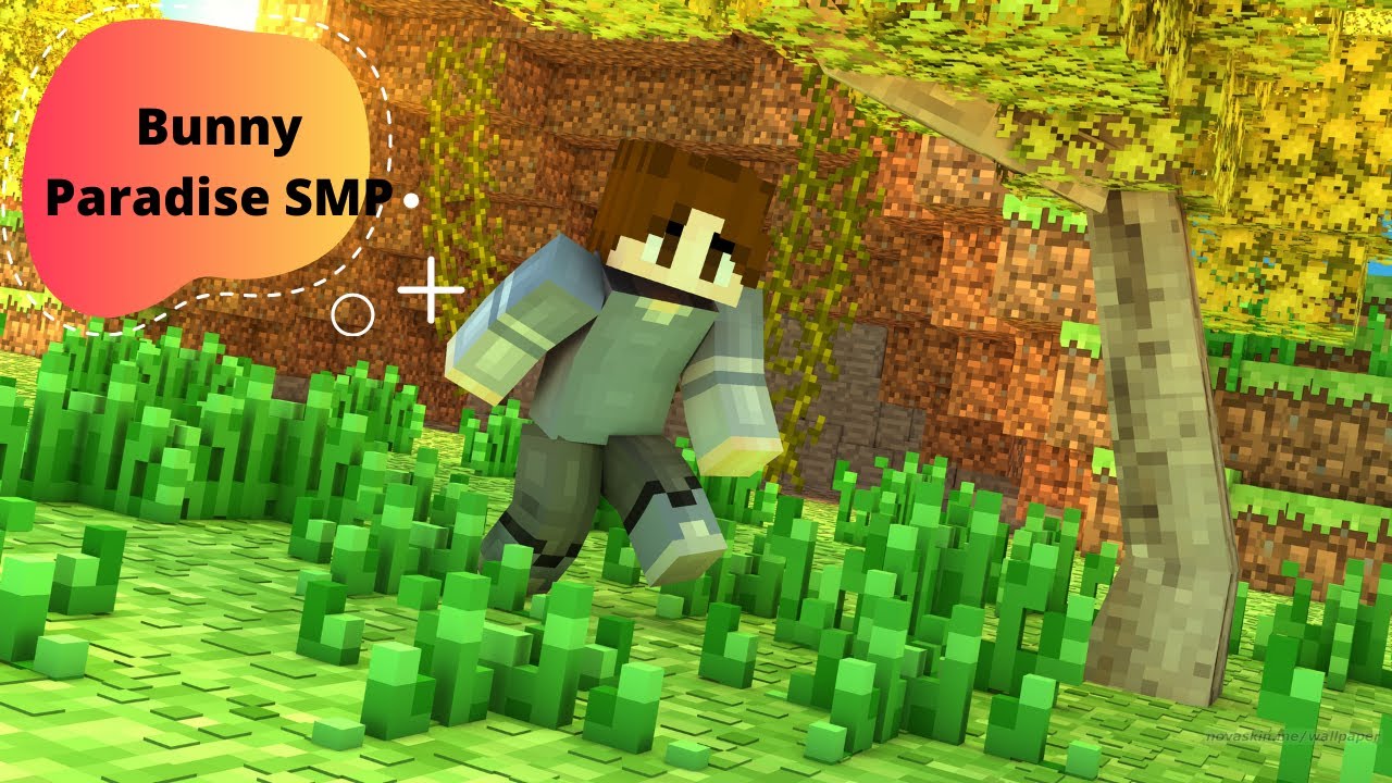 Bunny Paradise SMP EP:3 Meet My Bunny - YouTube
