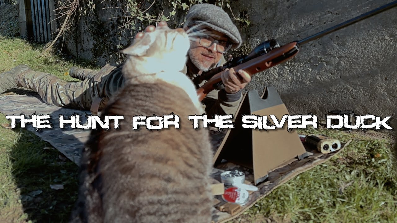 The Hunt for The Silver Duck - YouTube