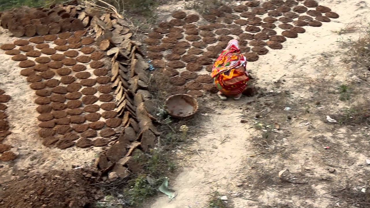 Fuel out of cow dung - YouTube