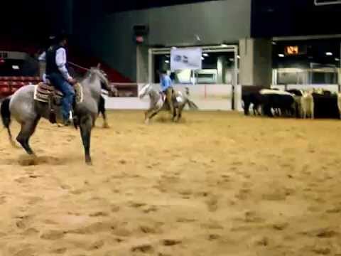 Houston Livestock Show & Rodeo , Horse Show ,Cutting Horses - YouTube