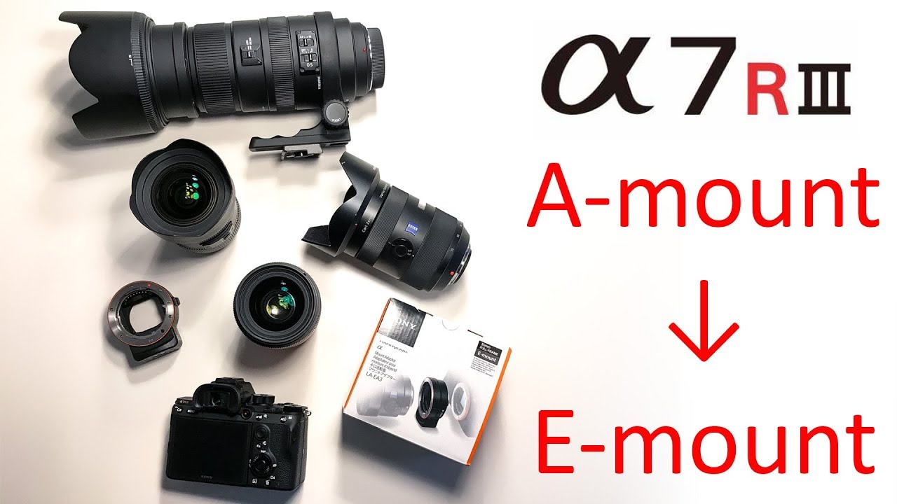 SONY a7Riii & LA-EA3 Lens Adapter - Auto Focus Testing with Sigma ...