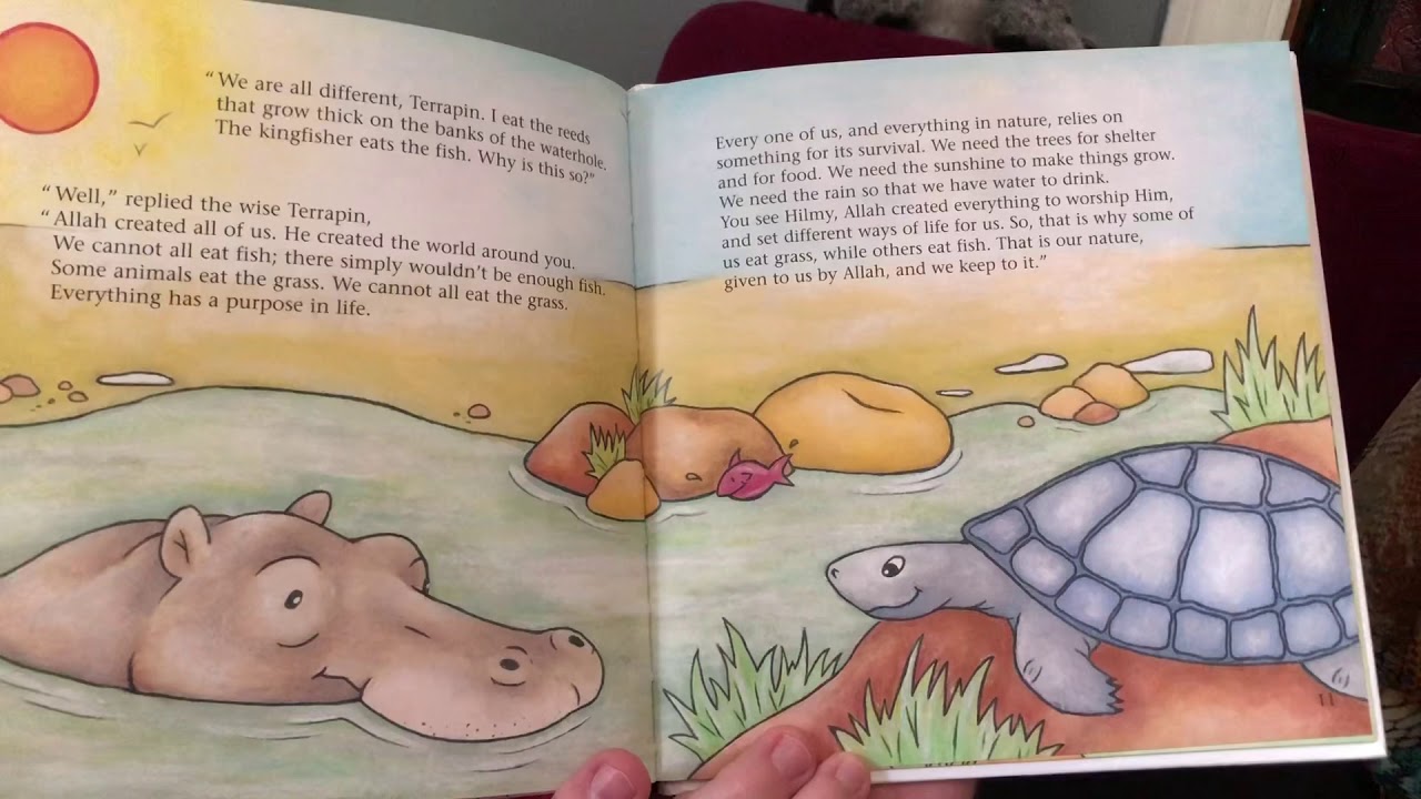 “Hilmy the Hippo Learns About the Creation” Read Aloud - YouTube