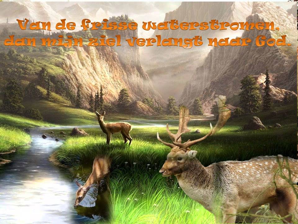 als een hert dat verlangt naar water - YouTube