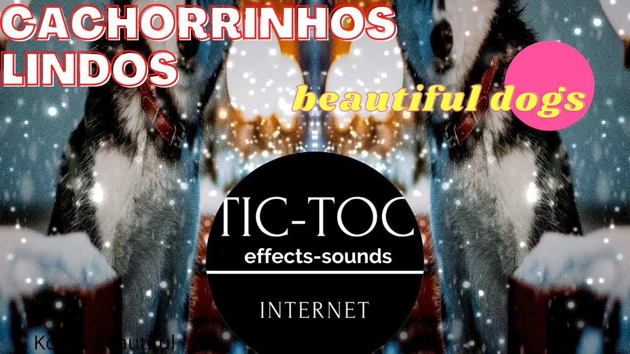 TIC_TOC internet efects-sounds C LINDOS BEAUTIFUL DOGS - YouTube
