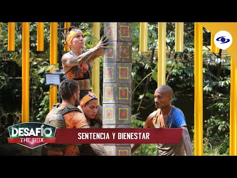 Desafío The Box 2022: El Box Amarillo define quiénes se quedan con todas las comodidades