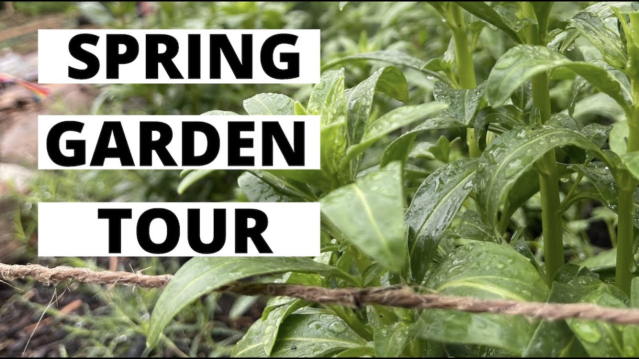 SPRING GARDEN TOUR | Beginnings of a flower farm - YouTube