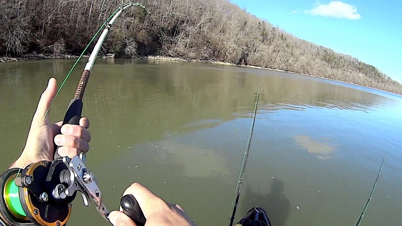 Winter Fishing With Live and Cut Shad - YouTube