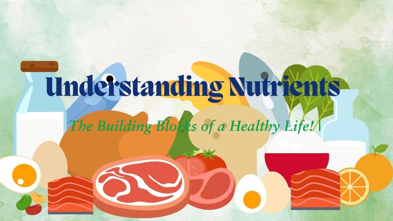 Understanding Nutrients: The Building Blocks of a Healthy Life! | A ...