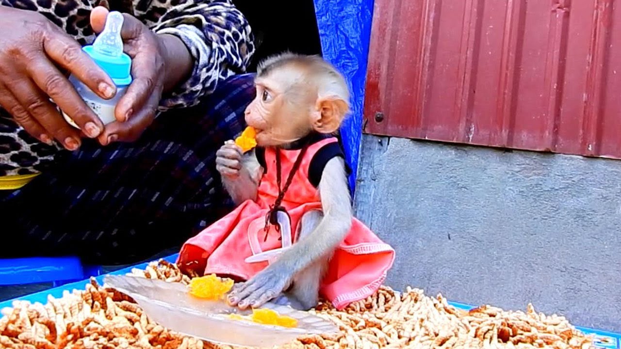 Elly eating orange but her keep looking to her drink when mom Thai ...